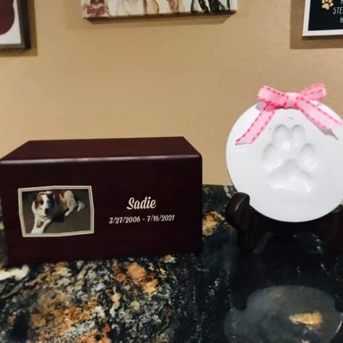Pet Cremation | In Loving Memory Pet Cremation